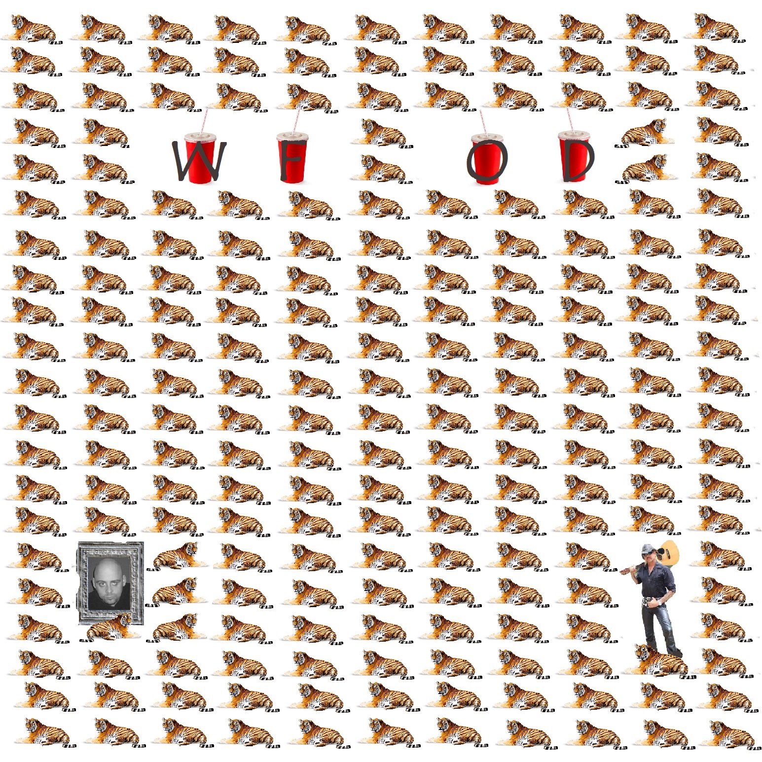 JOHN FALLON – WFOD