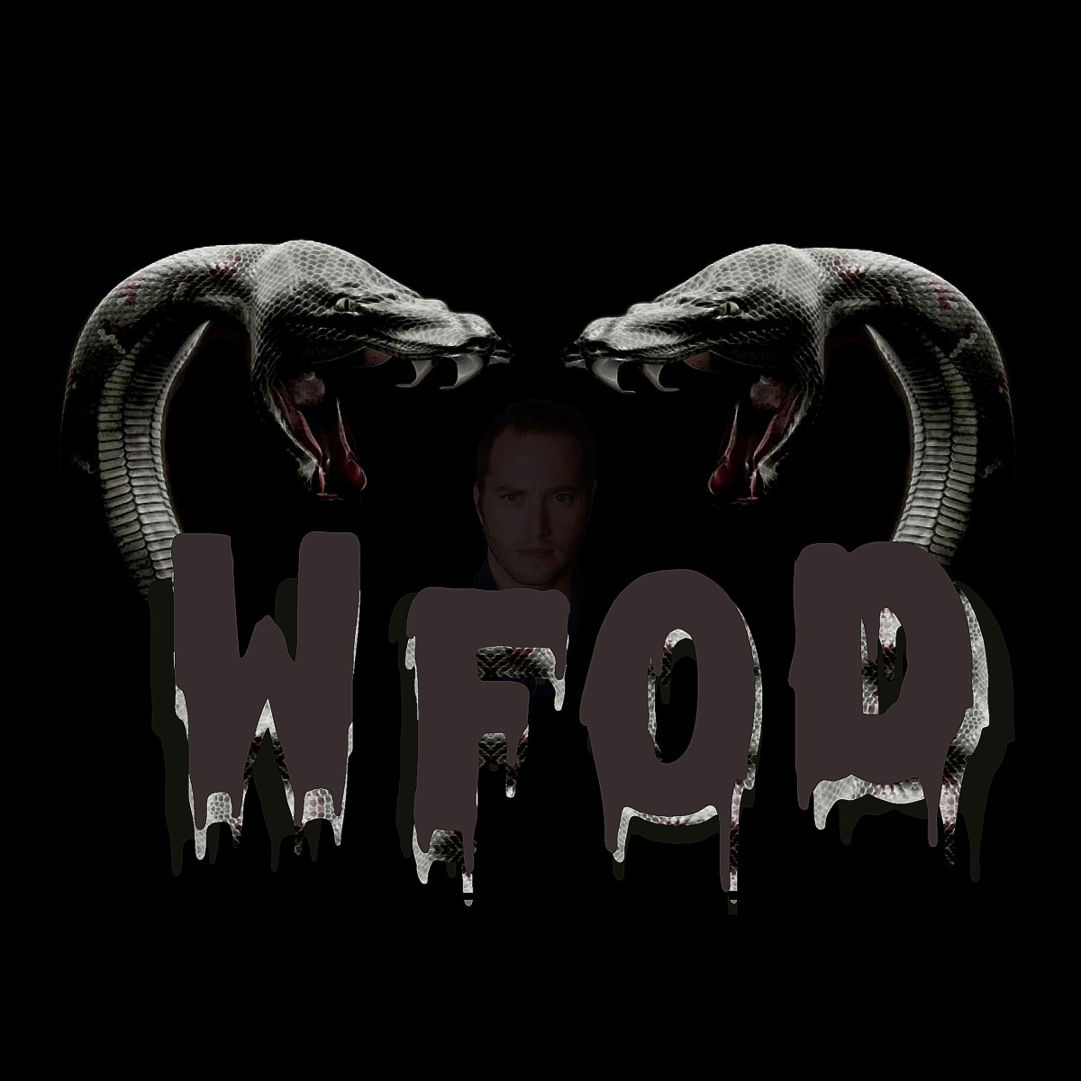 #614: DAVID LIPPER AND THUG SHAKER CENTRAL – WFOD